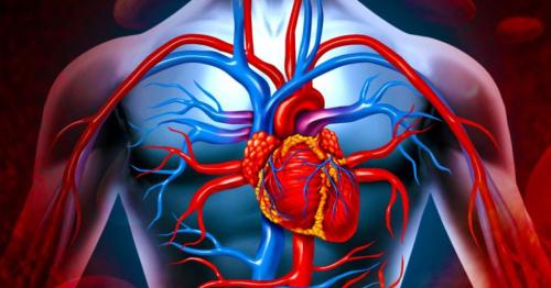 Заболявания и симптоми на сърцето и кръвоносните съдове