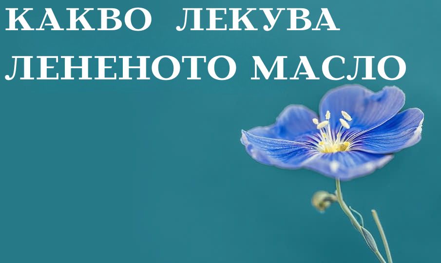 Какво лекува ленено масло | Как се приема